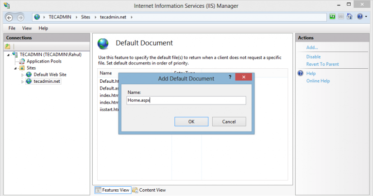 How to set default page in IIS? – QualiSpace Knowledge Base